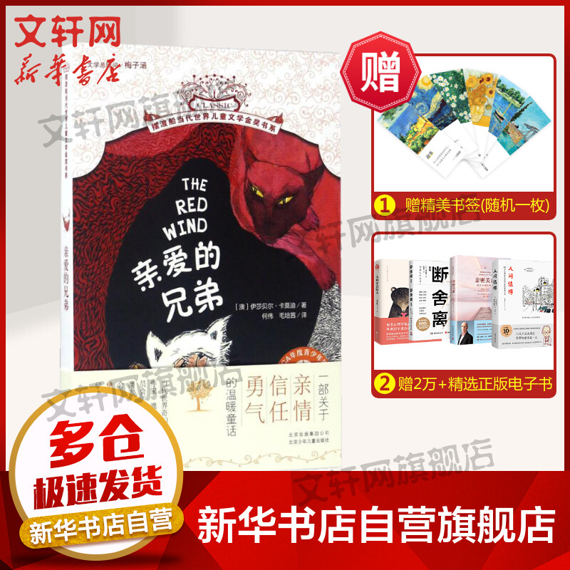 亲爱的兄弟 摆渡船当代世界儿童文学金奖书系小学生课外书6-12岁少儿读物小学四五六年级课外书籍纽伯瑞获奖作