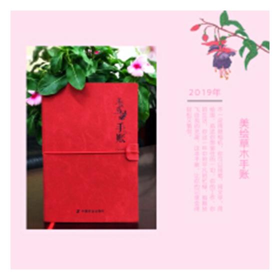 美绘木手账（2019年） 娱乐/休闲 琳达主编 中国农业出版社 9787109246034