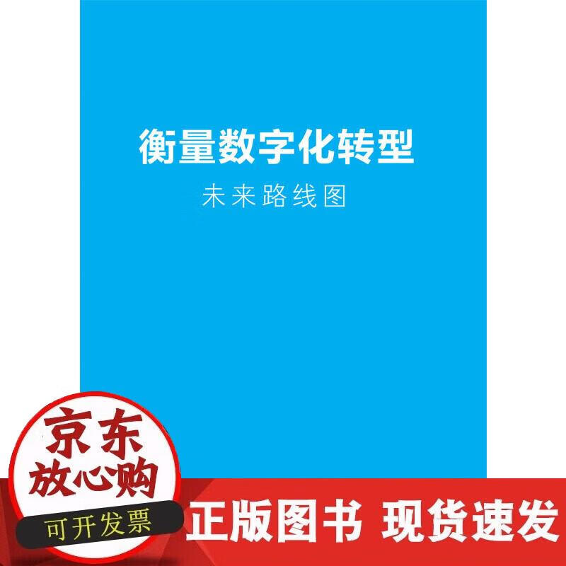 【现货】衡量数字化转型：未来路线图