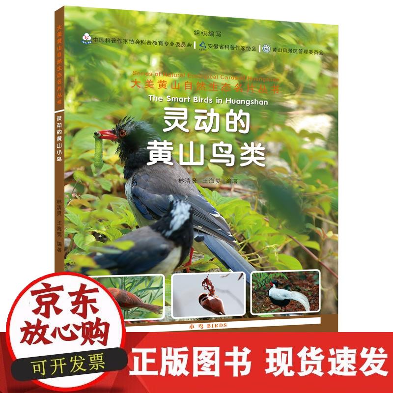 【现货】灵动的黄山鸟类