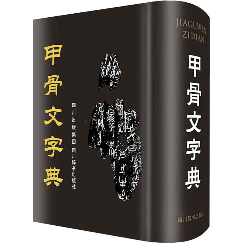 甲骨文字典 图书