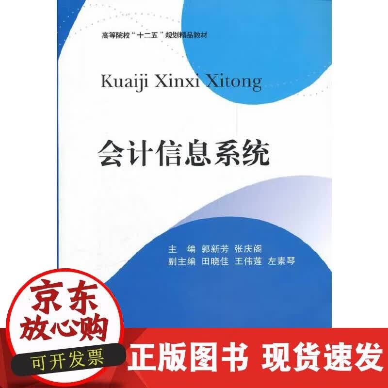 【现货】会计信息系统