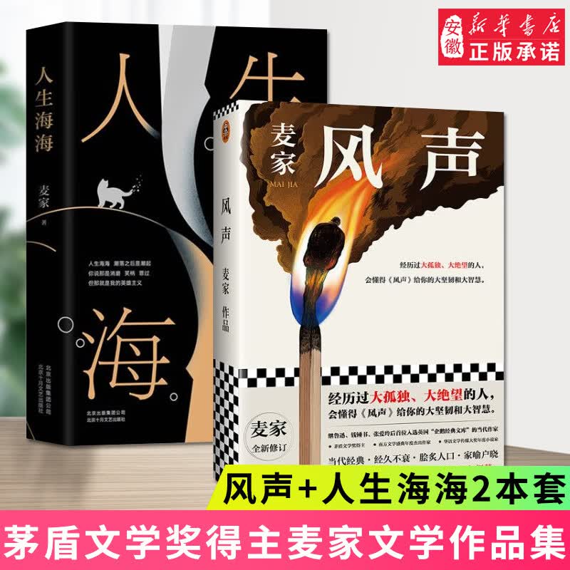 风声+人生海海共2册套装 茅盾文学得主麦家作品集 现当代文学散文随笔 名家名作 安徽图书专营店书籍