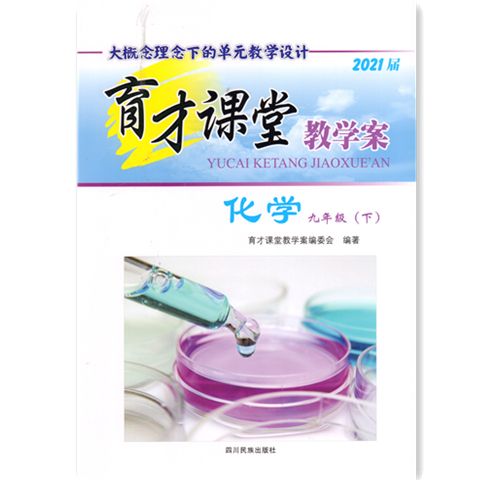 2021育才课堂教学案九年级下化学