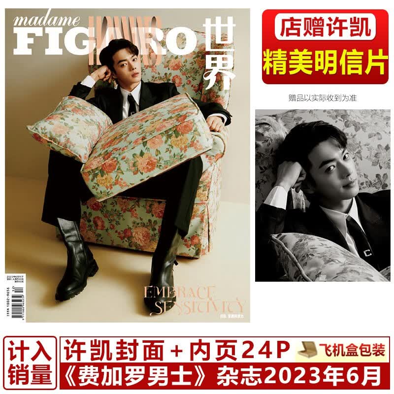 费加罗 许凯封面+店赠明信片 费加罗世界杂志2023年6月刊/红秀610期/ 新视线Wonderland5月/芭莎男士2022年12月/南都娱乐周刊 费加罗男士2023年6月 许凯封面
