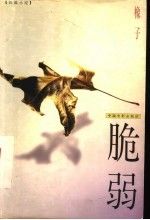 脆弱长篇小说