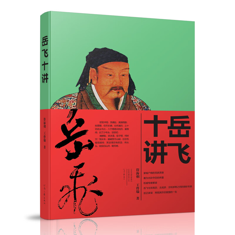 岳飞十讲