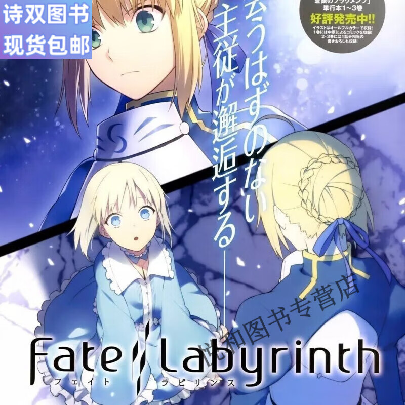 全新现货包邮(全新当天发) 小说/FateLabyrinth中文简体完结 小说/Fate Labyri