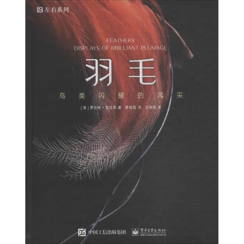羽毛 鸟类闪耀的风采
