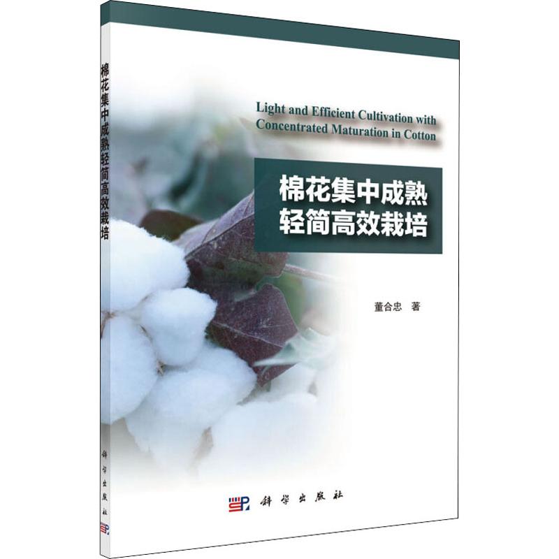 棉花集中成熟轻简高效栽培