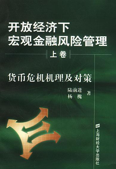 开放经济下宏观金融风险管理