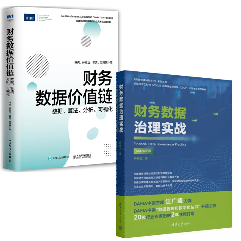 【全2册】财务数据治理实战数据管理和数字化系列丛书DAMA中国郑保卫著财务数据价值链数据算法分析可视化陈虎认证考试教材书籍