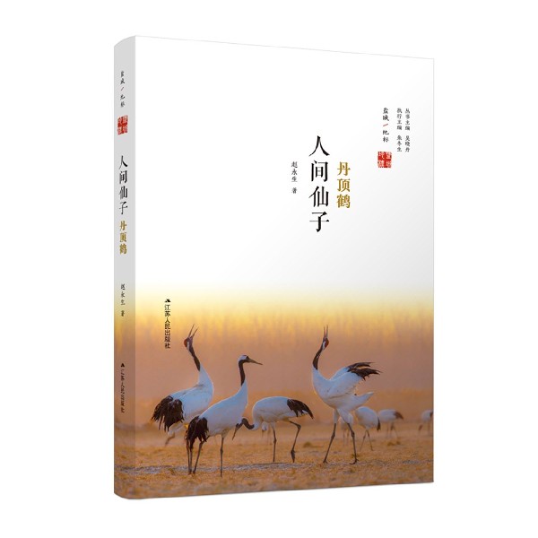 人间仙子(丹顶鹤)/盐城地标
