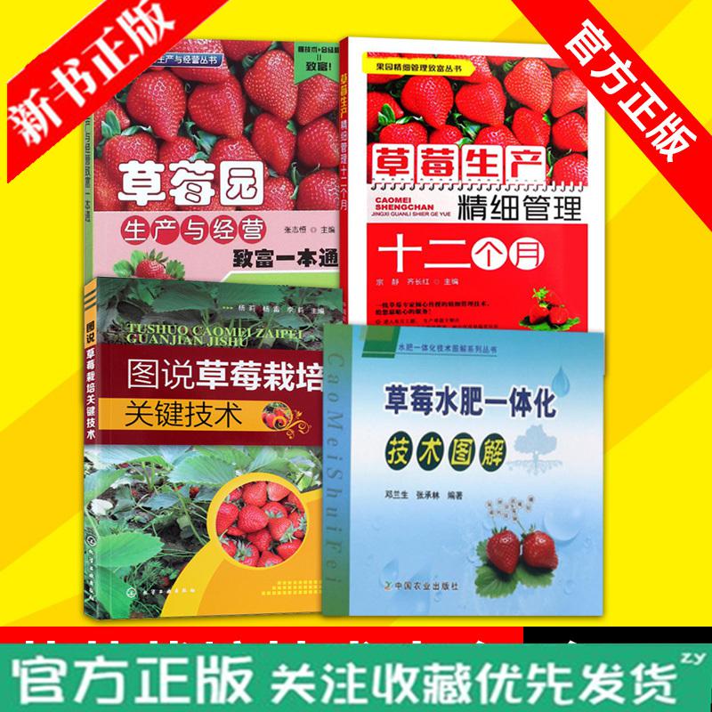 草莓种植书籍 图说草莓栽培关键技术+草莓园生产与经营致富一本通+草莓生产精细管理十二个月+草莓水肥一