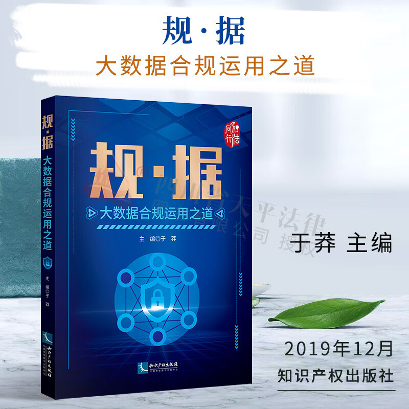 规·据——大数据合规运用之道 于莽主编 数据管理 科学技术管理法规 知识产权出版社
