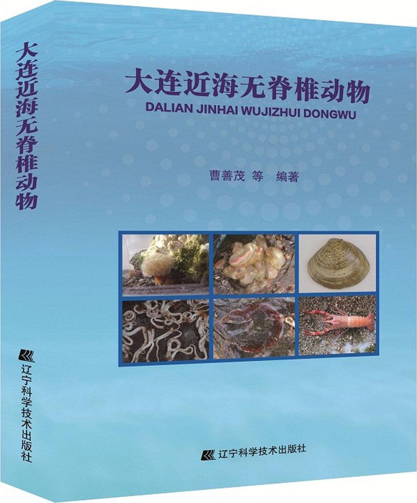大连近海无脊椎动物