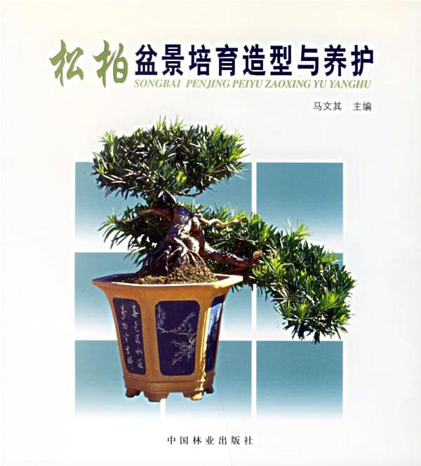 松柏盆景培育造型与养护