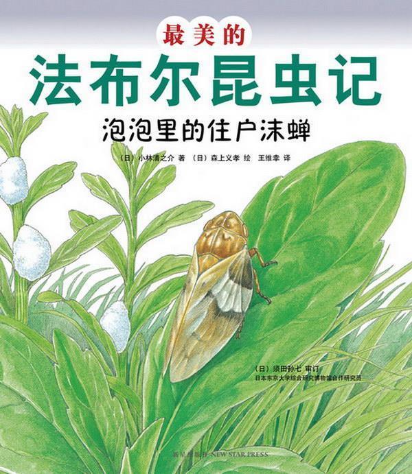 美的法布尔昆虫记：泡泡里的住户沫蝉