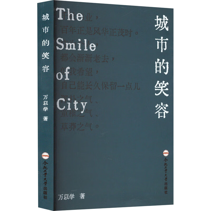城市的笑容 图书