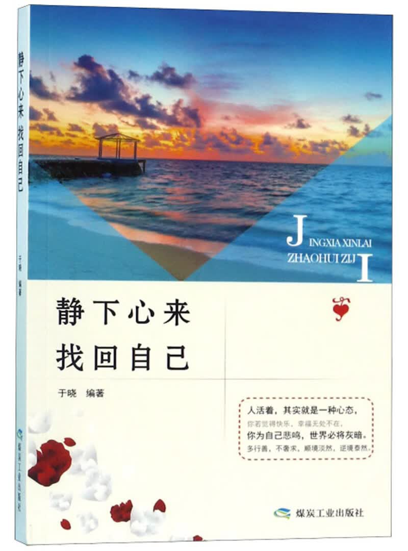 静下心来，找回自己 励志与成功 书籍