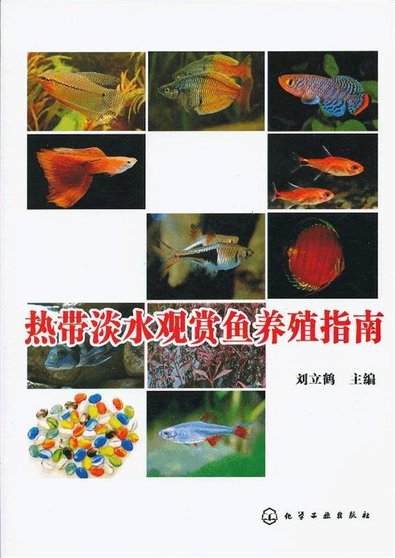 热带淡水观赏鱼养殖指南 刘立鹤 编【书】