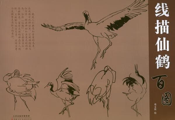 线描仙鹤百图 邓文欣, 绘 天津人民美术出版社