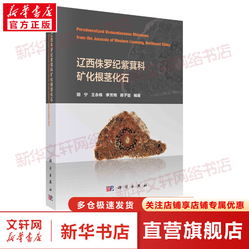 辽西侏罗纪紫萁科矿化根茎化石 图书