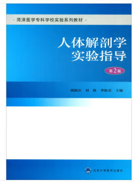 人体解剖学实验指导 郭新庆,刘胜,李松奇 编 9787565914355