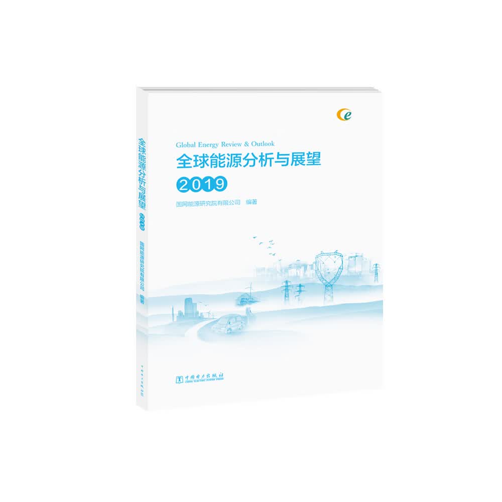 能源分析与展望 2019 经济 图书