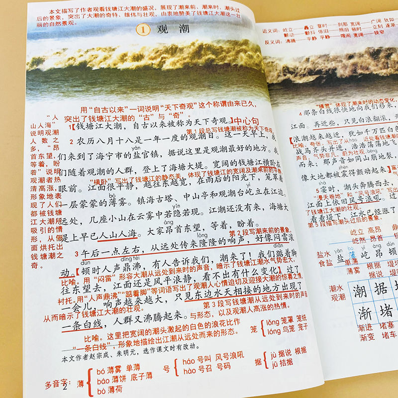 四年级上册语文课堂笔记人教版 同步教材单元综合知识总结全解册 四年级语文课堂笔记上册 堂笔记上册