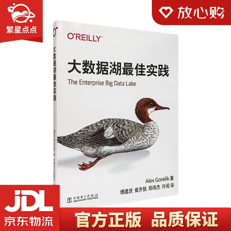 大数据湖最佳实践 Alex Gorelik 著 中国电力出版社