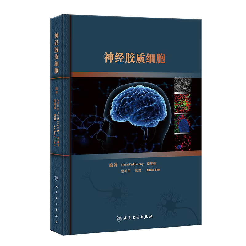 神经胶质细胞 9787117343213