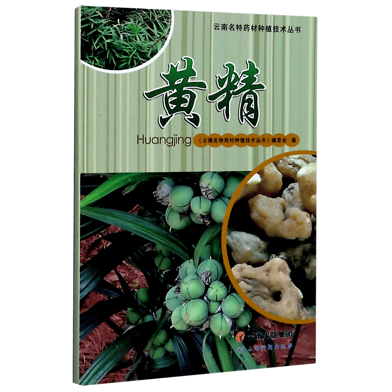 黄精/云南名特药材种植技术丛书