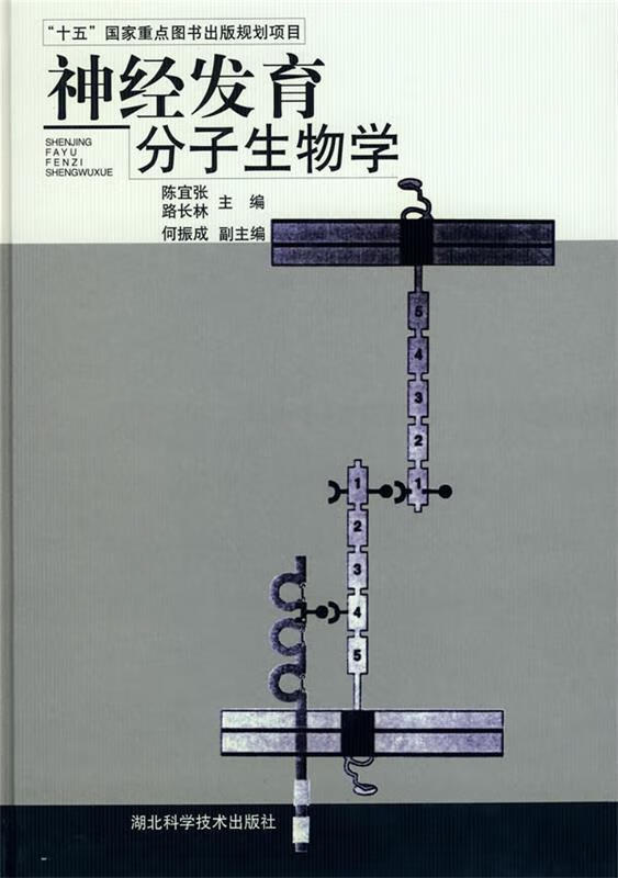 神经发育分子生物学