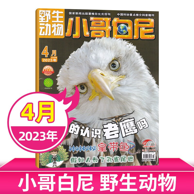 【6月现货/打包购买】小哥白尼杂志2023年军事科学/野生动物/神奇星球/趣味科学 6-15岁中小学生青少年科普探索百科期刊杂志 【野生动物】2023年4月