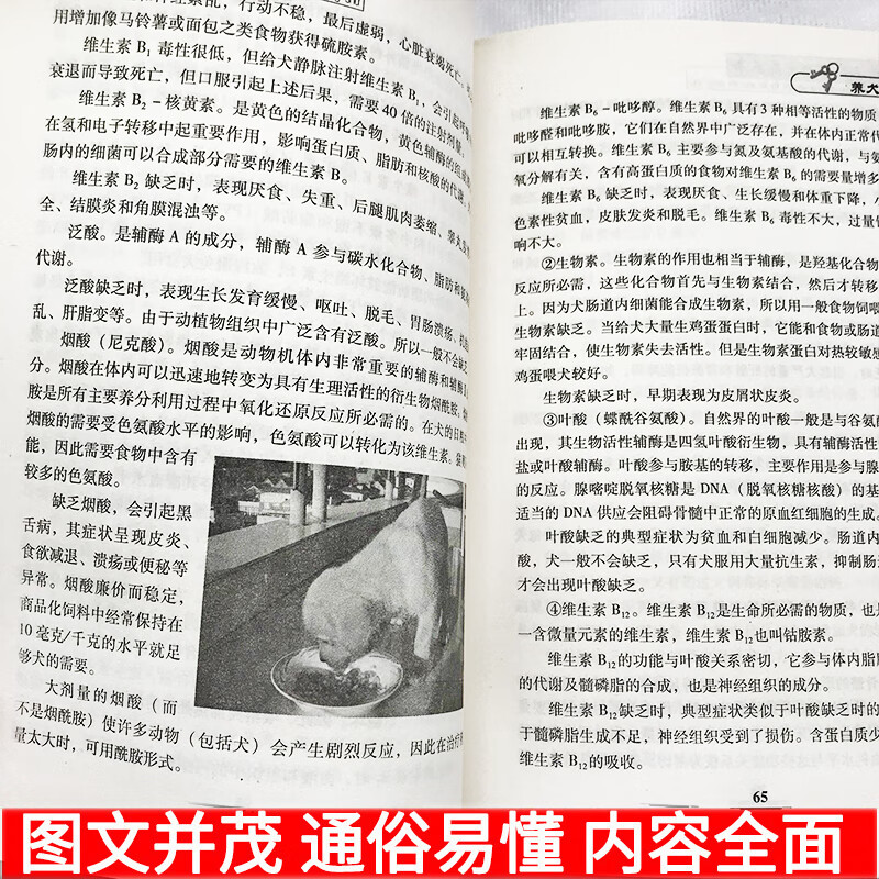 养犬新技术兽医书籍大全养狗书籍大全技术书常见病防治实用手册动物医学畜牧兽医专业教材犬的品种饲养特性繁