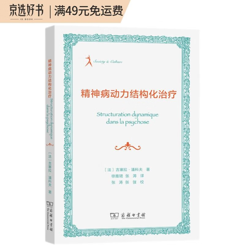 精神病动力结构化治疗/法国人文社会译丛