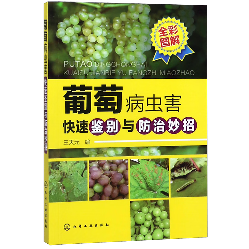 葡萄病虫害快速鉴别与防治妙招