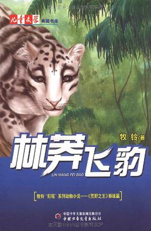 林莽飞豹【好书】