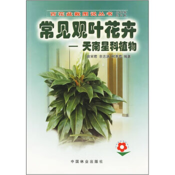 常见观叶花卉:天南星科植物