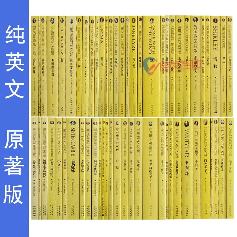 英语原著版全英文套装50册 英文原版书 世界名著外国文学小说英语读物原著版纯英文外文