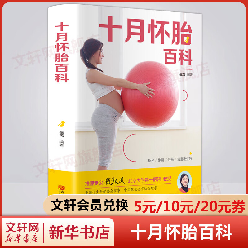 十月怀胎百科