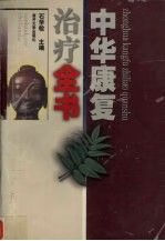 中华康复治疗全书