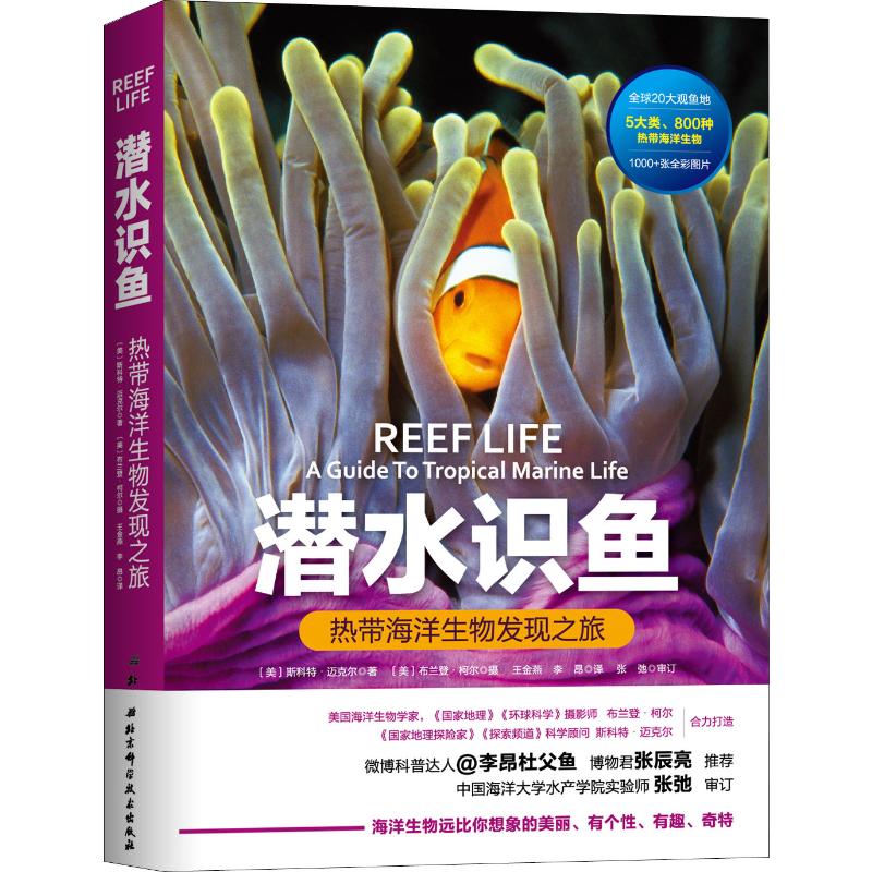潜水识鱼 热带海洋生物发现之旅