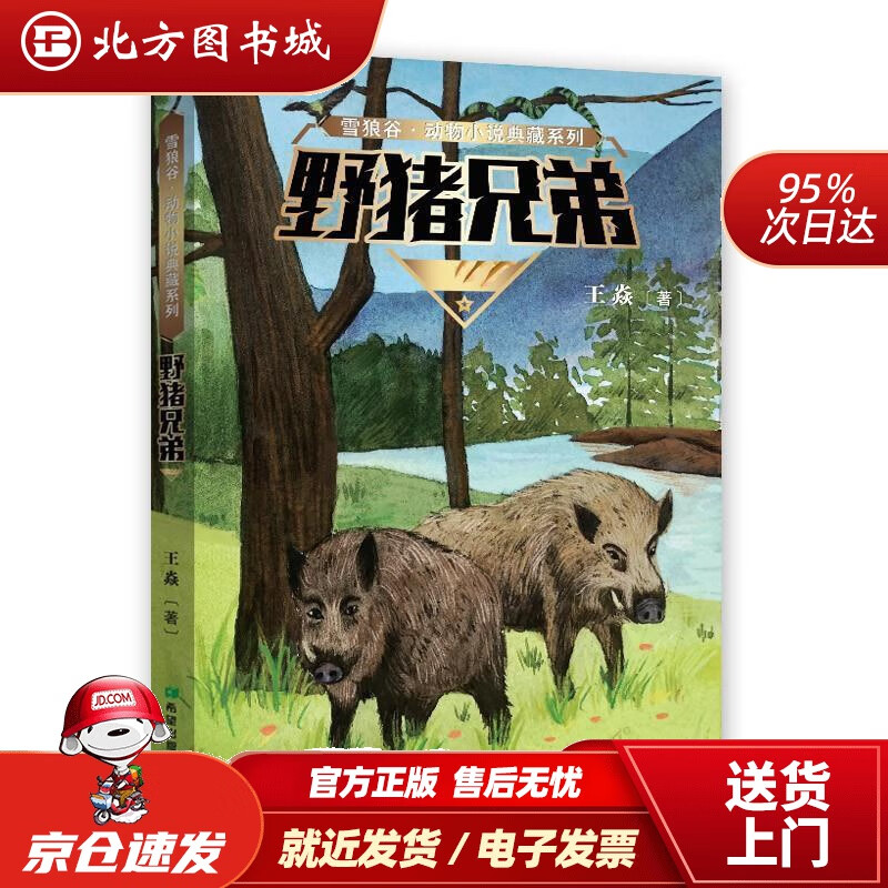 【现货】野猪兄弟 王焱 北方图书城
