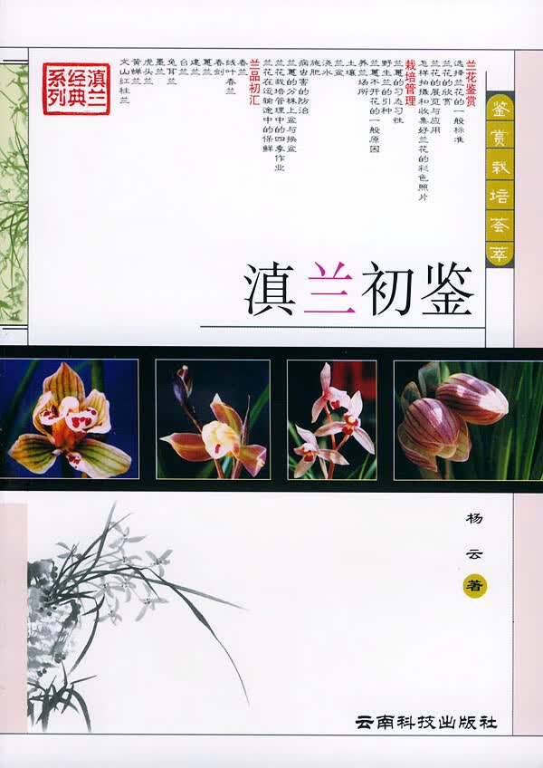 滇兰初鉴 杨云 编著