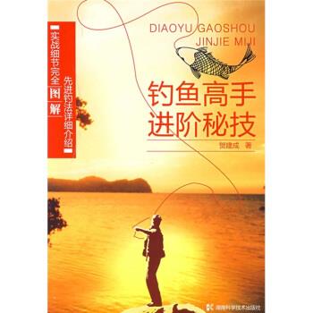 钓鱼高手进阶秘技 湖南科学技术出版社