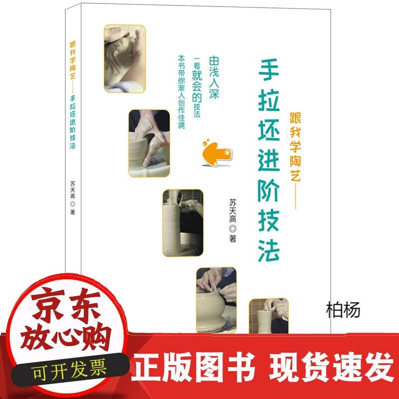速发 跟我学陶艺·手拉坯进阶技法苏天高著中国建材工业出版社