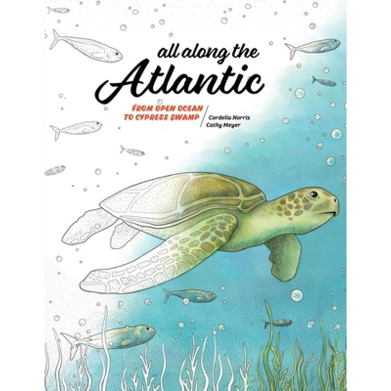 All Along the Atlantic: From Open Ocean to C...