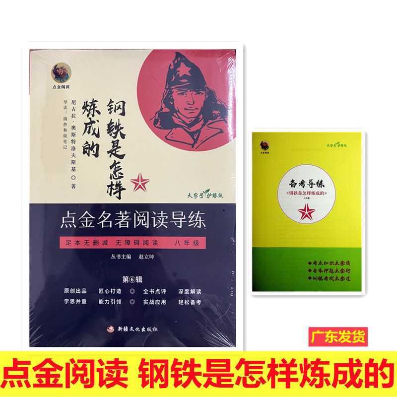 点金 点金名著导练无障碍 赠备考导练 钢铁是怎样炼成的